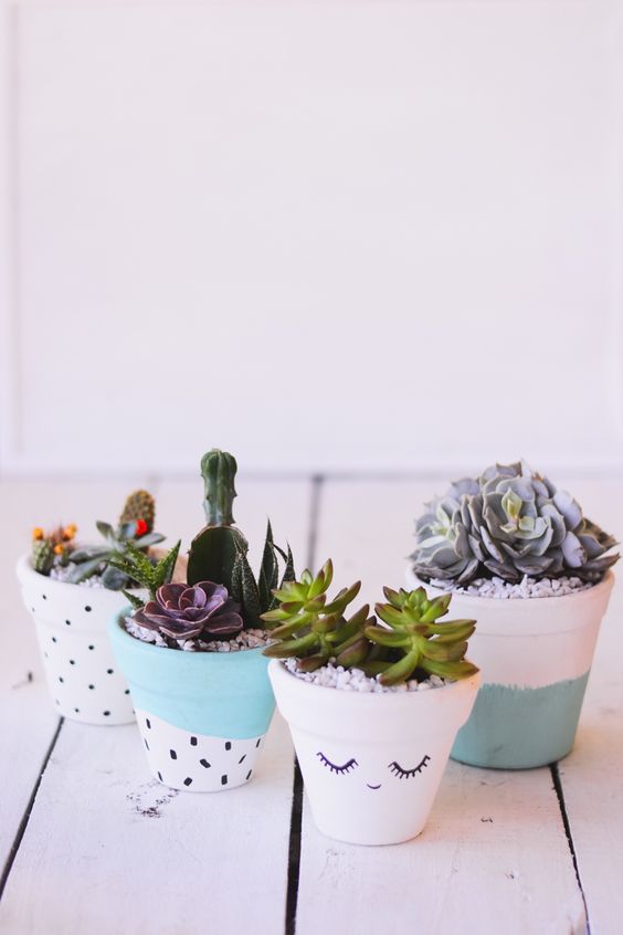 20 Cute Indoor Succulent Plant Decor Ideas To Beautify Your Home ...