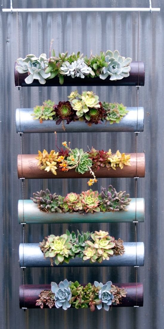 20 Cute Indoor Succulent Plant Decor Ideas To Beautify Your Home ...