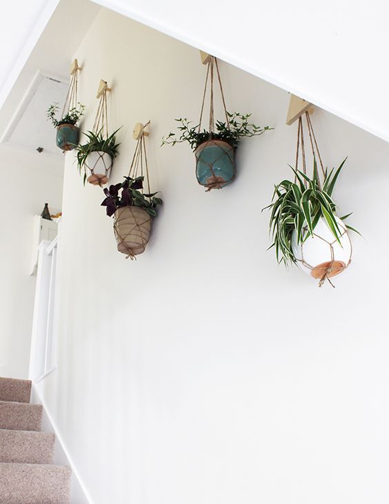20 Cute Indoor Succulent Plant Decor Ideas To Beautify Your Home ...