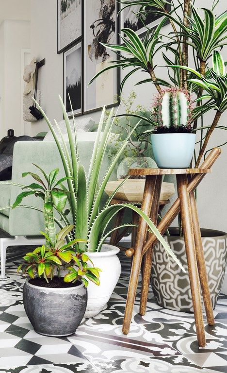 20 Cute Indoor Succulent Plant Decor Ideas To Beautify Your Home ...