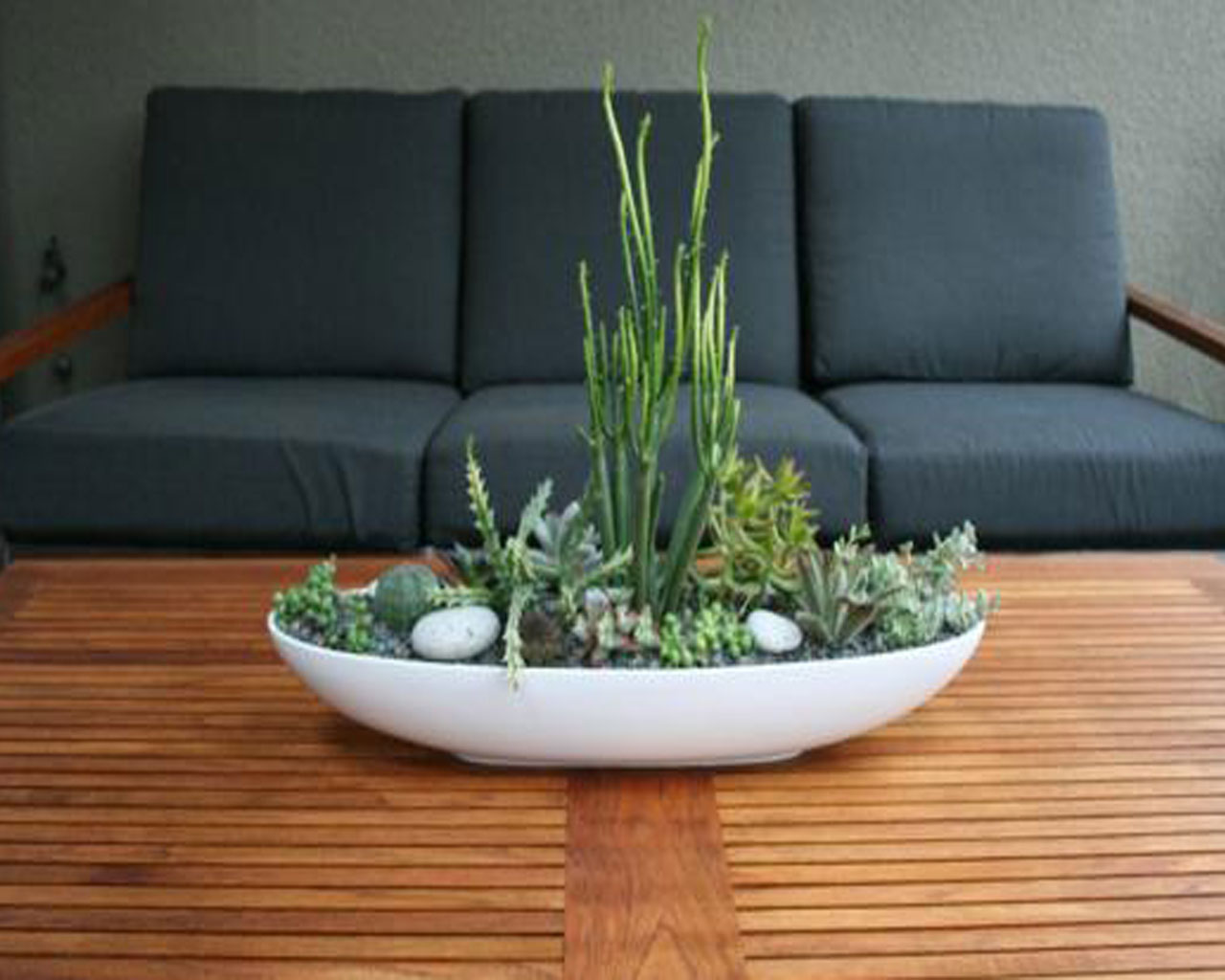 20 Cute Indoor Succulent Plant Decor Ideas To Beautify Your Home ...