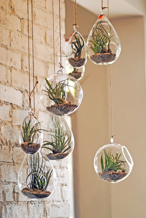 20 Cute Indoor Succulent Plant Decor Ideas To Beautify Your Home ...