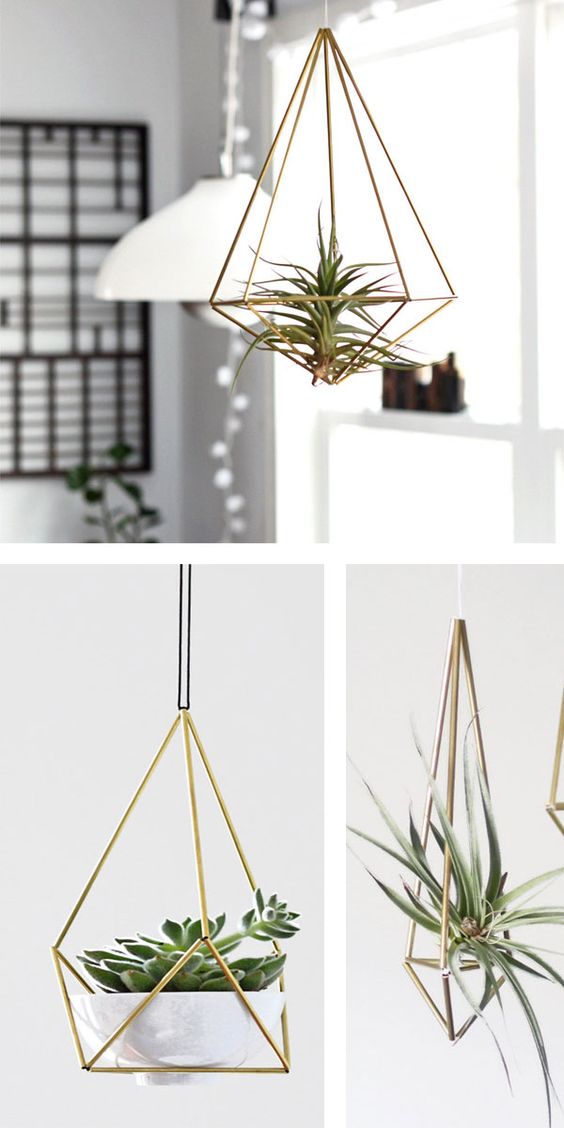 20 Cute Indoor Succulent Plant Decor Ideas To Beautify Your Home ...