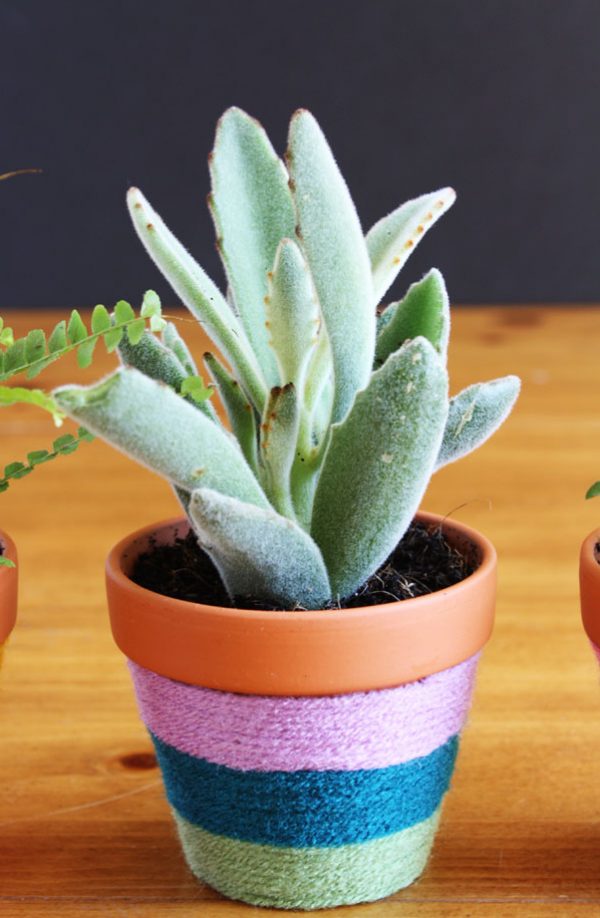 21 Cute DIY Pots You'll Love - Kisses for Breakfast