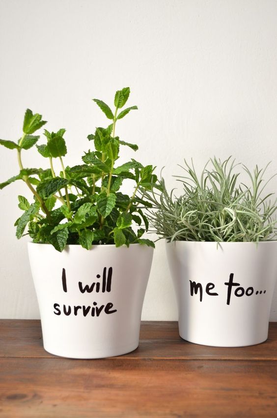 21 Cute DIY Pots You'll Love - Kisses for Breakfast